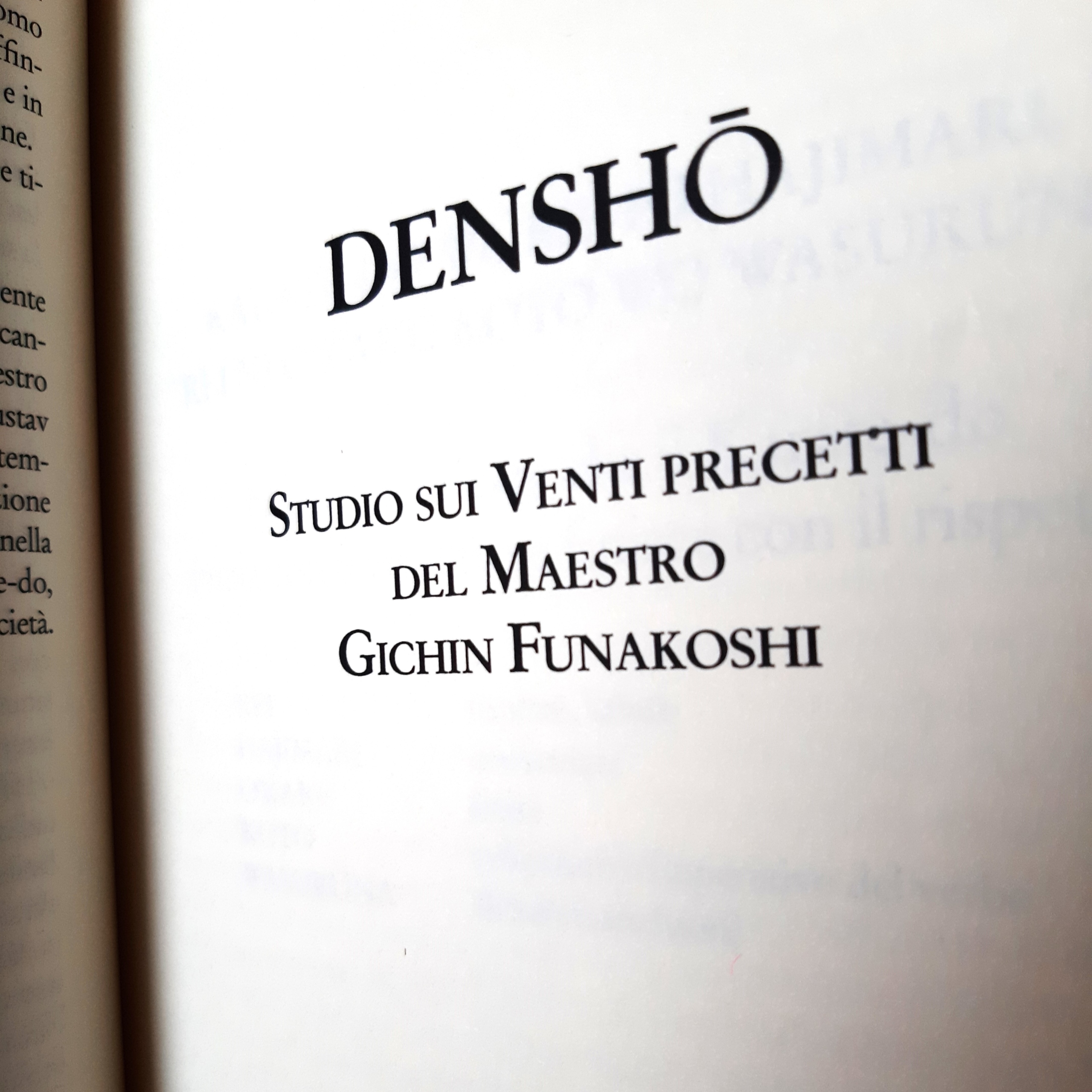 Recensione libro DENSHO di Matteo Greghi – FIKTA